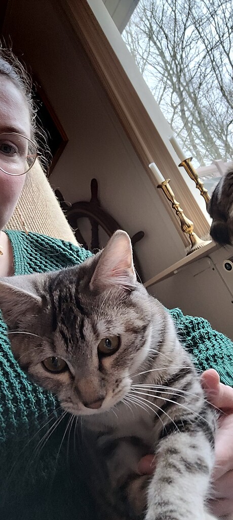 En lille Delle - Generel snak om katte - Kattegale